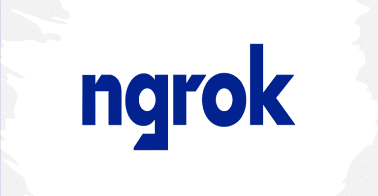 Ngrok and it’s use for Software Development - Dotnet Copilot